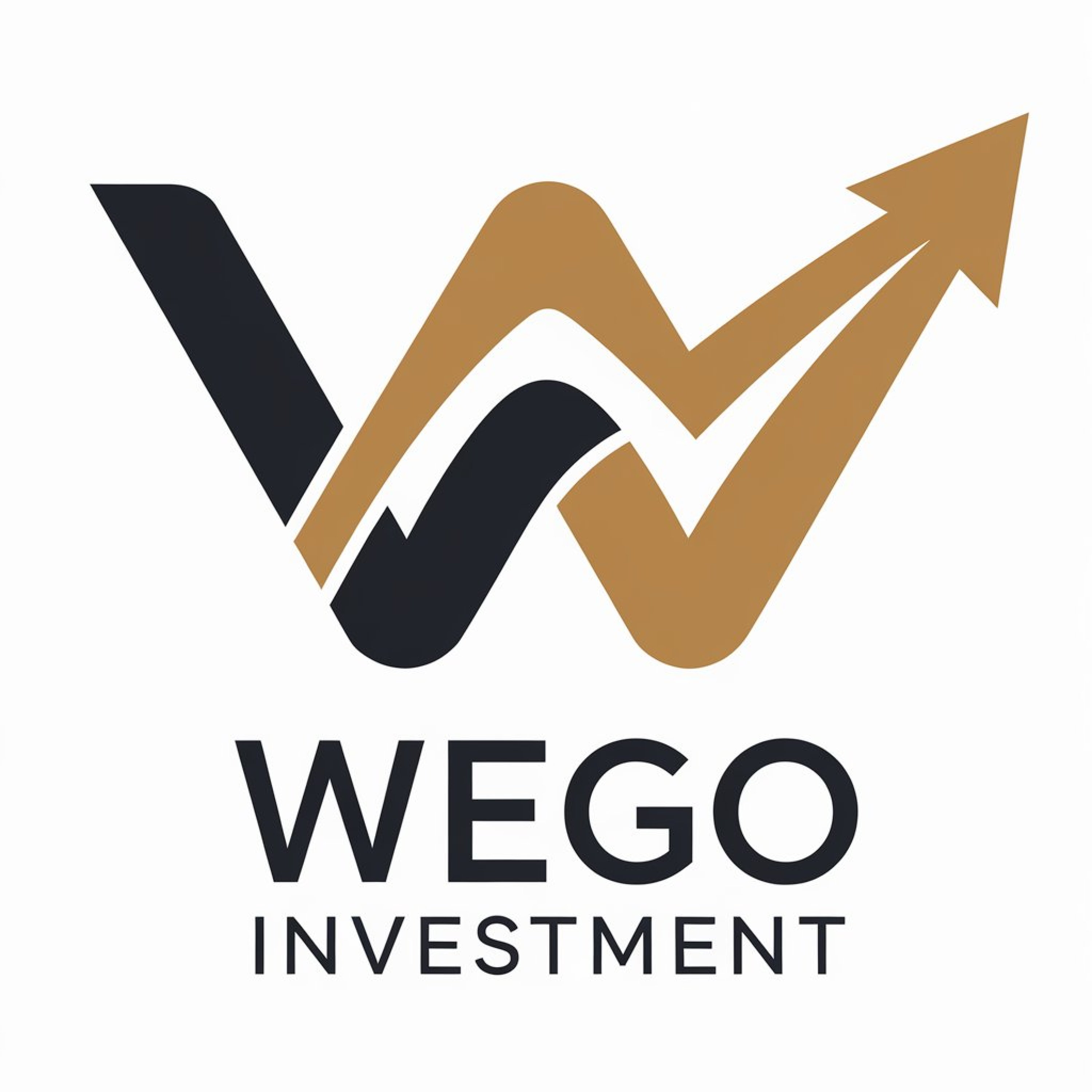 Wego Investment Management